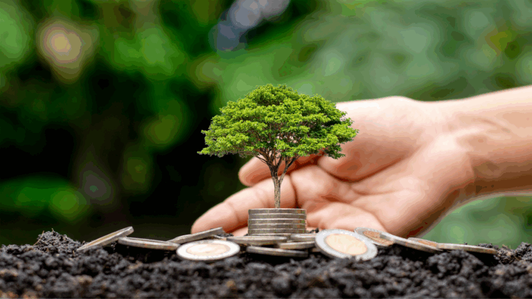 From Agriculture to Renewable Energy: Gargaara’s Sectoral Expansion and ...